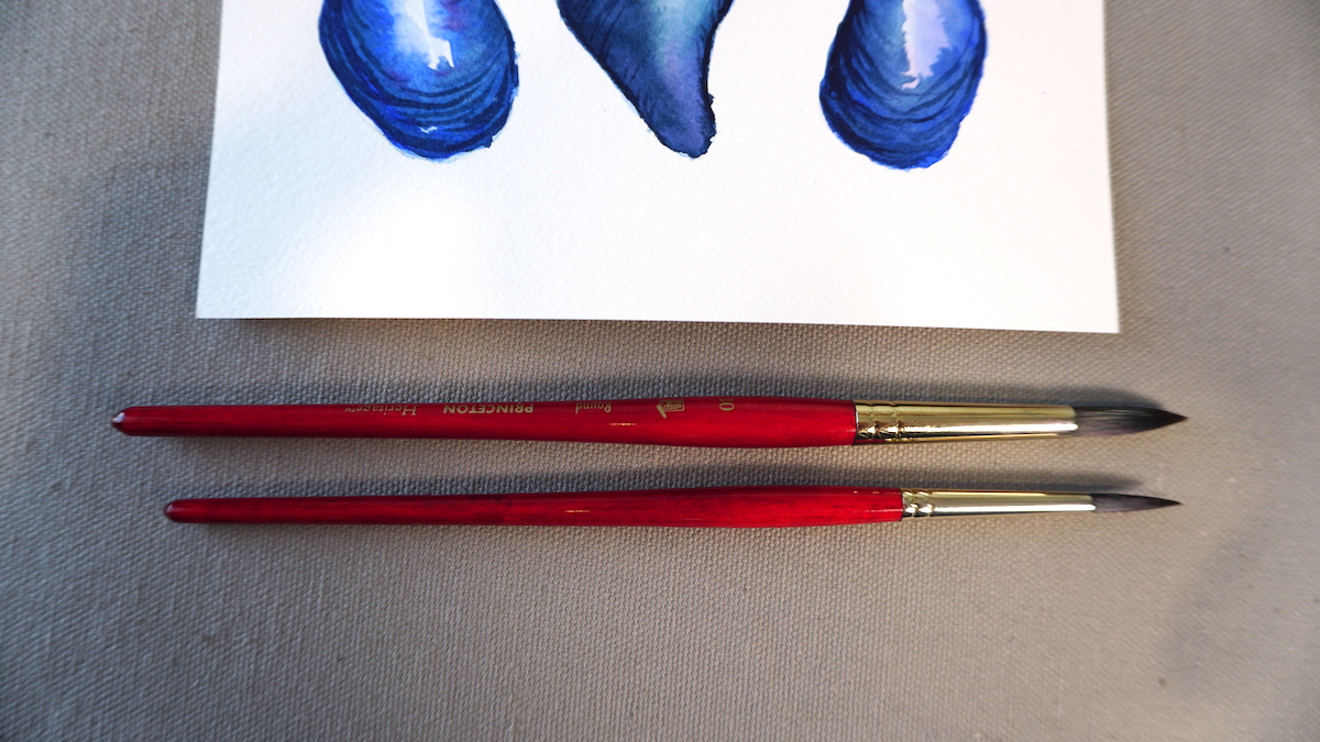 How to paint watercolour mussel shells › The Weekend Beckons