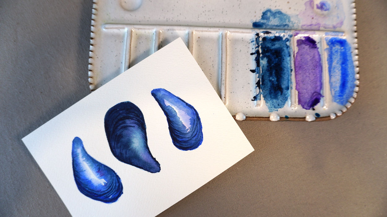How to paint watercolour mussel shells › The Weekend Beckons